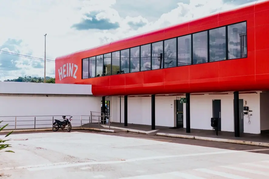 Safra do tomate gera mais de 200 vagas e fortalece economia no interior ...
