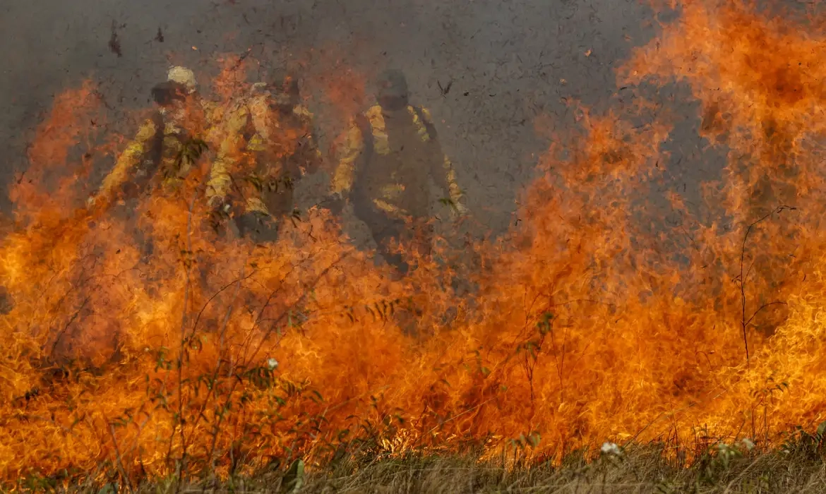 El Niño 2026 preocupa: fenômeno pode afetar safras, pastagens e ...